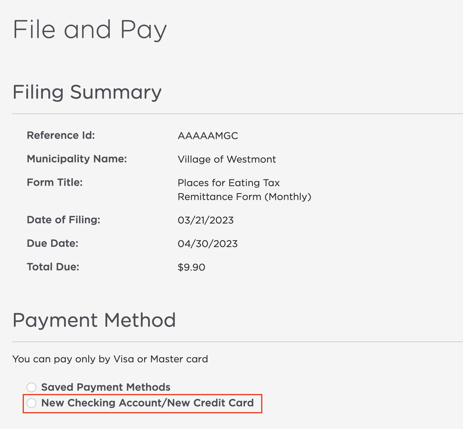 How do I make a payment on Localgov?